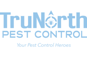 Night Market Peachtree City – Food, Art, & Music Festival… in Peachtree ...